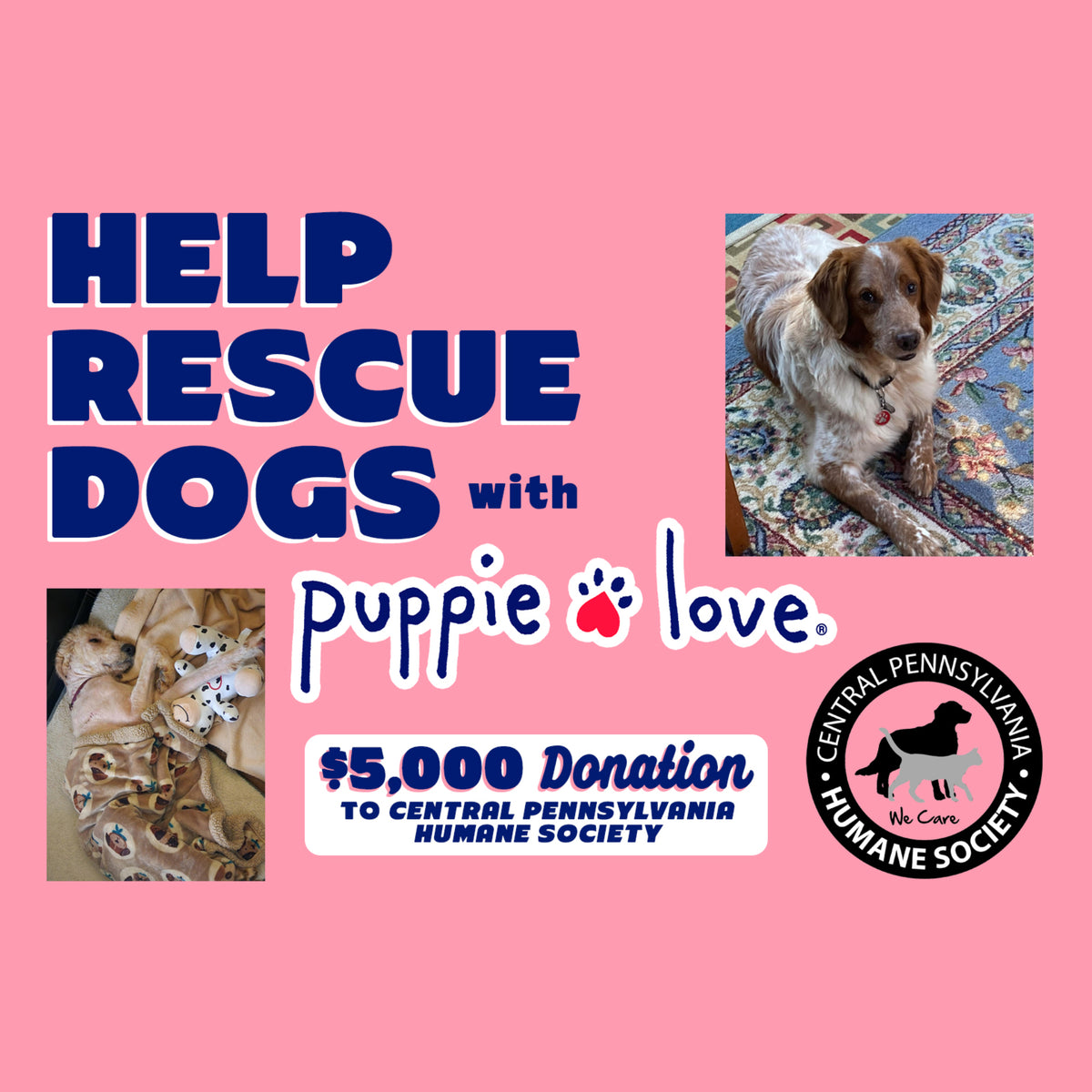 Puppie Love helps Central PA Humane Society to Rescue Animals from Hoa